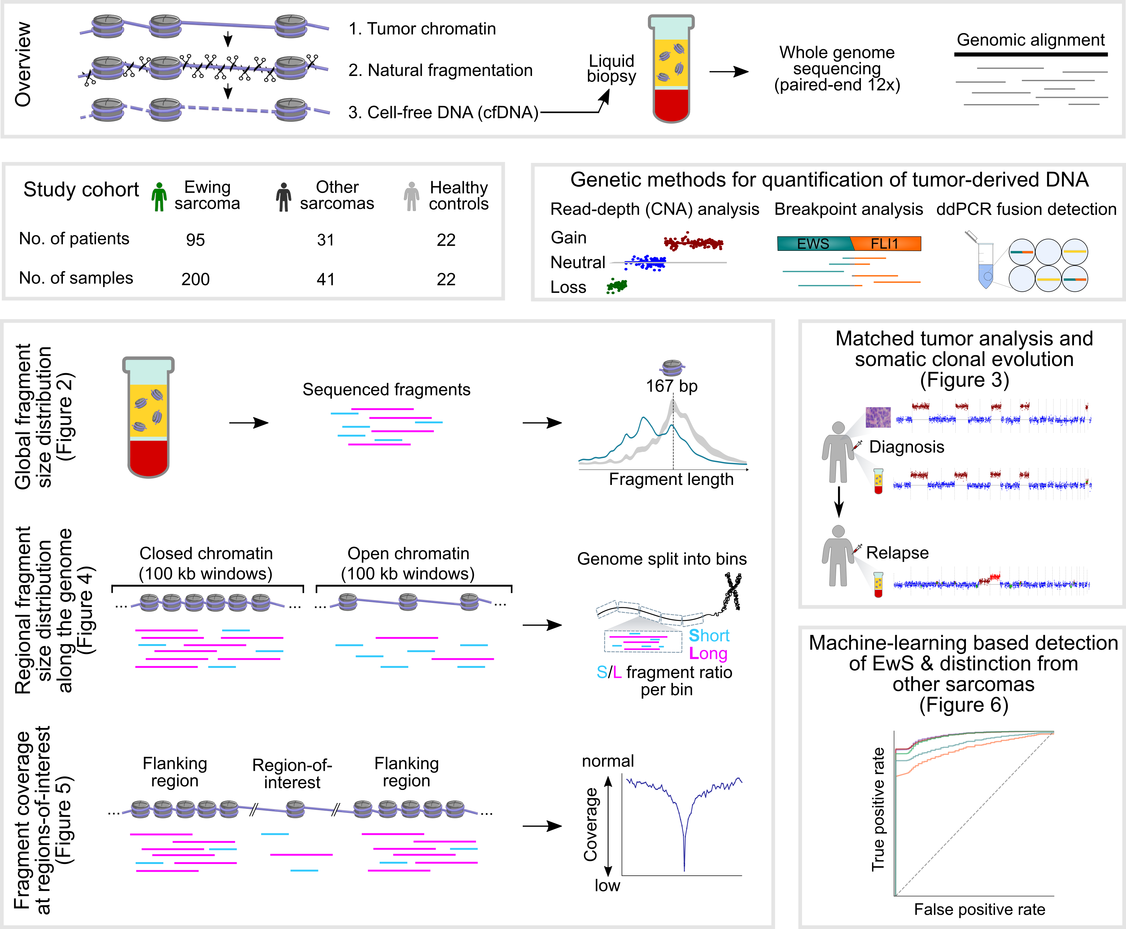 Multimodal analysis of cell-free DNA whole genome sequencing for ...